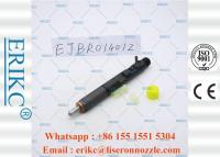 China EJBR01401Z For Delp Injector Code Generator Auto For Delp Common Rail  EJB R01401Z for sale