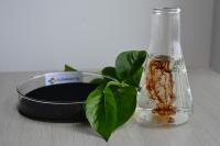 Quality Super Potassium Fulvate Fertilizer 100 for sale