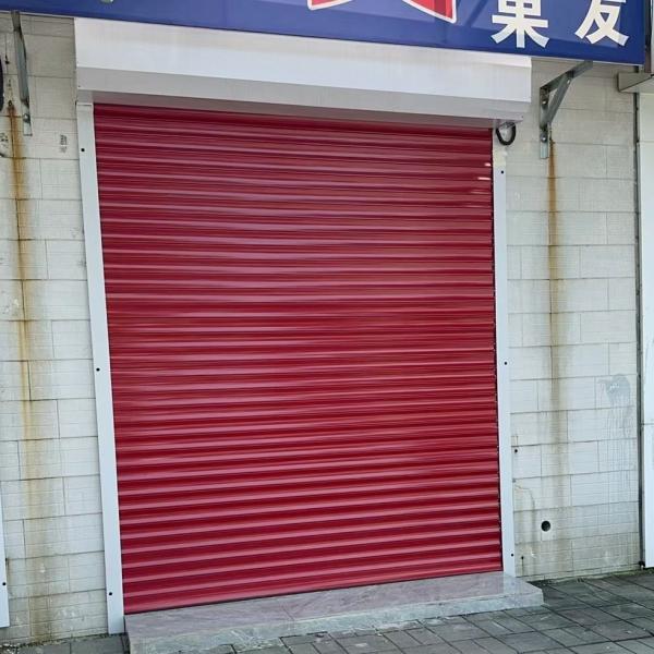 Quality Anti Theft Protection Aluminium Roller Door Electric Dooya Roll Up Aluminum for sale