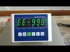24-Bit Weighing Scale Indicator Plastic Housing Green LED Display