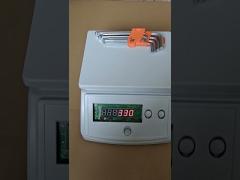 Plastic Electronic Weighing Scale Dual-Led  For Seafood Processing