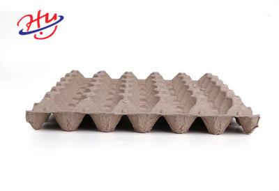 Cina Uovo automatico Tray Production Equipment della macchina di fabbricazione di piatto di carta in vendita