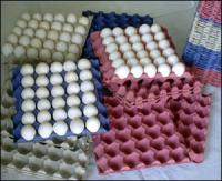 China 153KW Egg Wrapping Machine Paper Egg Tray Machine Molding for sale