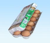 China 153KW Egg Wrapping Machine Paper Egg Tray Machine Molding for sale