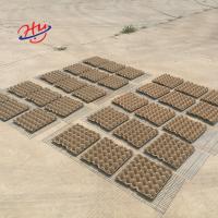 China Biodegradable Paper Pulp Egg Tray Making Machine 1000PCS/H for sale