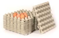 China Pulp Moulding Egg Carton Making Machine 7000pcs/H for sale