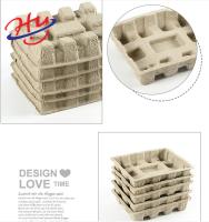 China Biodegradable Mold Paper Egg Tray Making Machine 153KW for sale