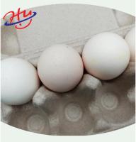 China Pulp Egg Tray Molding Machine Paper Egg Crate Making Machine for sale