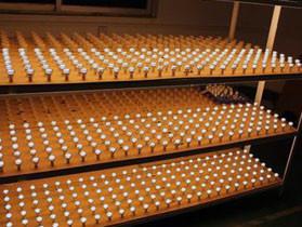 Verified China supplier - Starry Led Light Tech - KooSion Industrial Co., Limited