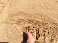 China Hydraulically Controlled Vibrating Screen Environmentally Friendly Beach Sand Cleaner for sale