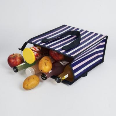 Cina Dispositivo di raffreddamento dell'alimento della borsa del pranzo di picnic isolato alta qualità di XTX in vendita