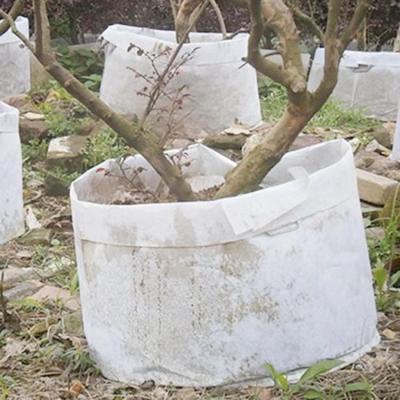 Cina Personalizzi caldo vendendo non la borsa che biodegradabile della pianta del tessuto l'albero respirabile di flet coltiva la grande borsa della scuola materna della borsa con la maniglia in vendita