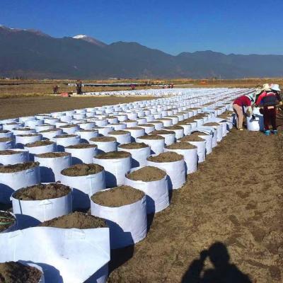 Cina Personalizzi caldo vendendo non la borsa che biodegradabile della pianta del tessuto l'albero respirabile di flet coltiva la grande borsa della scuola materna della borsa con la maniglia in vendita
