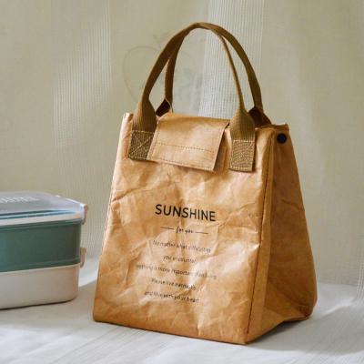 Cina La carta di Du Pont ha isolato i contenitori del pranzo di Tote Lunch Bag Refrigerated Waterproof in vendita