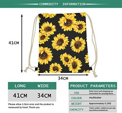 中国 Durable and Waterproof Lager Capacity Drawstring Bag Backpack 販売のため