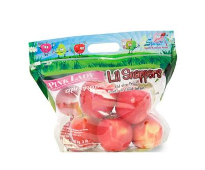 Cina Borsa d'imballaggio trasparente d'imballaggio portatile laminata di verdura e della frutta fresca VMPET in vendita