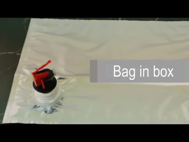 Imballaggio liquido su misura del bag in box del vino del riempitore di Logo Print Valve 2L 3L