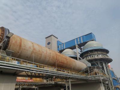 China General contract for 1000 Tons/active lime producetion line|High output and low heat consumption for sale