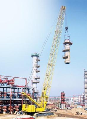 China QUY450 Crawler Crane for sale