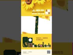 Cosmétiques de maquillage de couleur girasol pour Marken privé