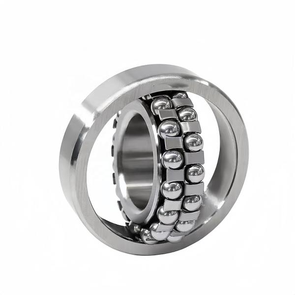 Quality 25*52*15mm Self-aligning Ball Bearing 11205 in Spherical Structure with OPEN for sale
