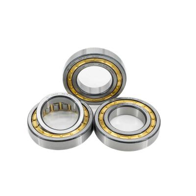 Cina Cuscinetto a rulli cilindrici ad alta precisione 35*100*25mm N407EM per prestazioni in vendita