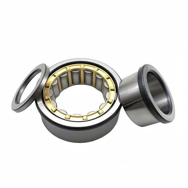Quality 95*170*32mm NUP219EM Cylindrical Roller Bearing NUP219ECM with Open Seals for sale