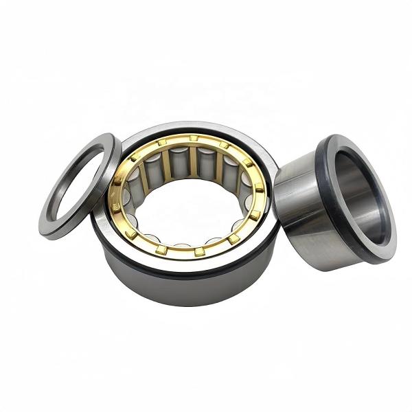 Quality 105*190*36mm NUP221ECM Cylindrical Roller Bearing for Material Handling for sale