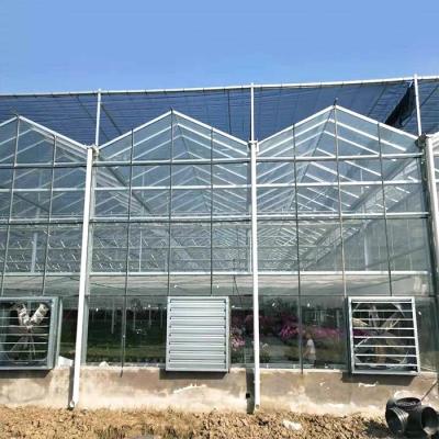 중국 10-60 '수평선상 수직 온실 태양계 36.9m/S 풍 하중 판매용