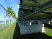 China Solar Pv Ground Mount Systems With Adjustable Ground screw foundation solar bracket for sale