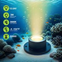 China Long Lifespan 3w Led Pond Lights Excellent Choice For Outdoor Water Garden Lighting Featuring Durable And Energy Technology for sale