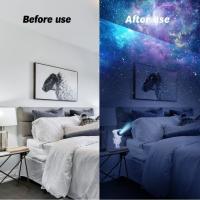 China Swith Switch Mode Included Astronaut Galaxy Light Projector Suitable for Professional Photographers Videographers and Event Planners for sale