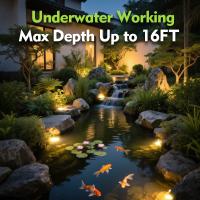 China Long Lifespan 3w Led Pond Lights Excellent Choice For Outdoor Water Garden Lighting Featuring Durable And Energy Technology for sale