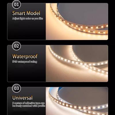 China Furniture Embedded LED Layer Light Cord for Wine Cabinet Strip for sale
