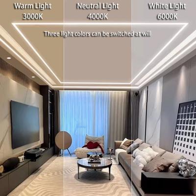 Cina IP65 resistente all'acqua 24V LED Light Strip per il soggiorno in vendita