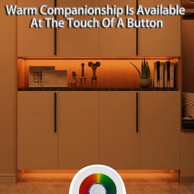 Cina 110V-240V Basso Voltaggio COB Light Strip Acqueproof Colla di riempimento per l'illuminazione esterna in vendita