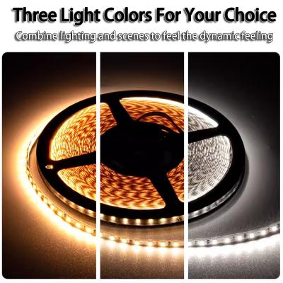 Cina 110V-240V Basso Voltaggio COB Light Strip Acqueproof Colla di riempimento per l'illuminazione esterna in vendita