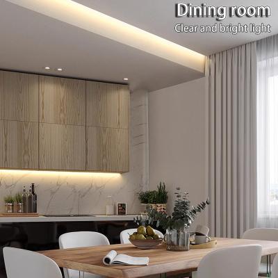 Cina 110V-240V Basso Voltaggio COB Light Strip Acqueproof Colla di riempimento per l'illuminazione esterna in vendita