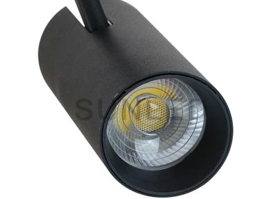 China Decorative Par30 Led Spotlight Flush Mount Ceiling Mount Track Lighting for sale