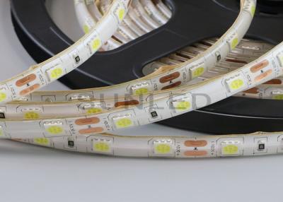 中国 高明るさ LED 柔軟なストライプライト 防水 IP65 RGB SMD5050 FPCランプボディ 販売のため