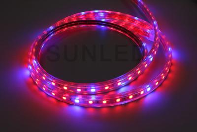 China SMD5050 Flexible Wasserdichte LED-Band für das Pflanzenwachstum zu verkaufen