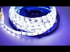 RGBW light strip