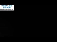 오피스 응용 알루미늄 LED 스트립