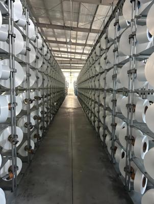 Cina Filato in poliestere FDY 100% Vergine o Riciclato 210D48F Brillante/Semi opaco/Opaco piatto/Rotondo/Cavo Bianco grezzo in vendita