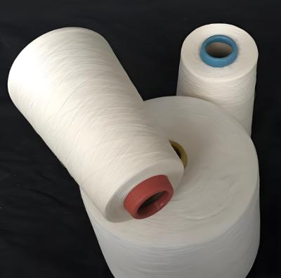 Cina Filato in poliestere FDY 120D/36F - Filato tessile ad alta solidità del colore e basso restringimento per tessuti durevoli in vendita