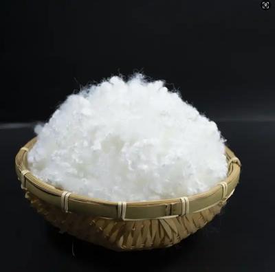 China GRS Recycled Polyester Staple Fiber 3D 51MM Semi dull UV resistent Te koop