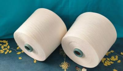 Κίνα Ανθεκτική στη φλόγα παρθένα ακρυλική ίνα 1.5D ακατέργαστη λευκή EN13501-1 προς πώληση