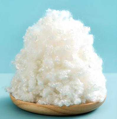 China Hollow Conjugated PET Staple Fiber (6D-20D) for sale