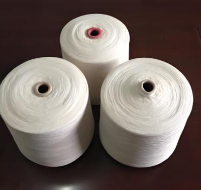 China Nylon 6 Semi-Dull Staple Fiber – 1.2D x 38mm (Cotton Type, Virgin Grade） for sale