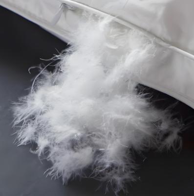 China PA6 V2 General Purpose Flame Retardant Nylon 6 for sale